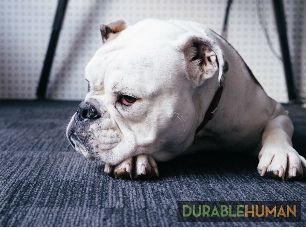 Don't Be Dumb About Smart Toys and Home Devices by Google and Amazon ...