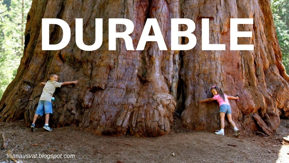 Insights Behind the TEDx Talk Durable Humans are Smarter Than Their ...