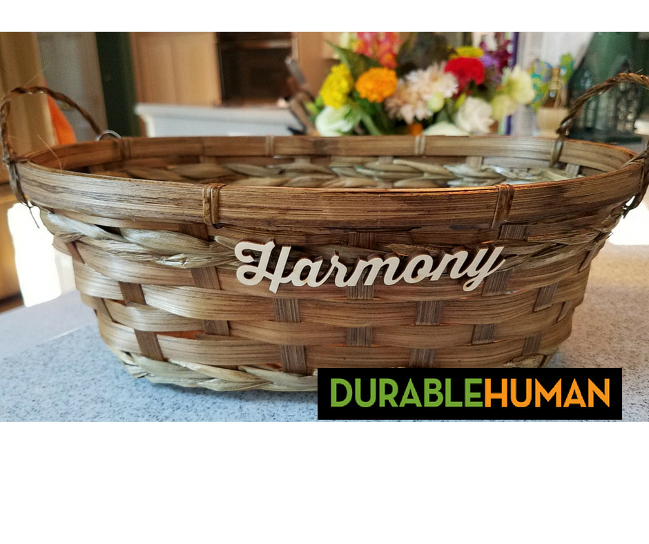 Durable Human Goods - The Durable Human